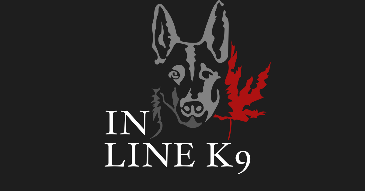 In-Line K9 | Ottawa’s Top Dog Training – In-LineK9